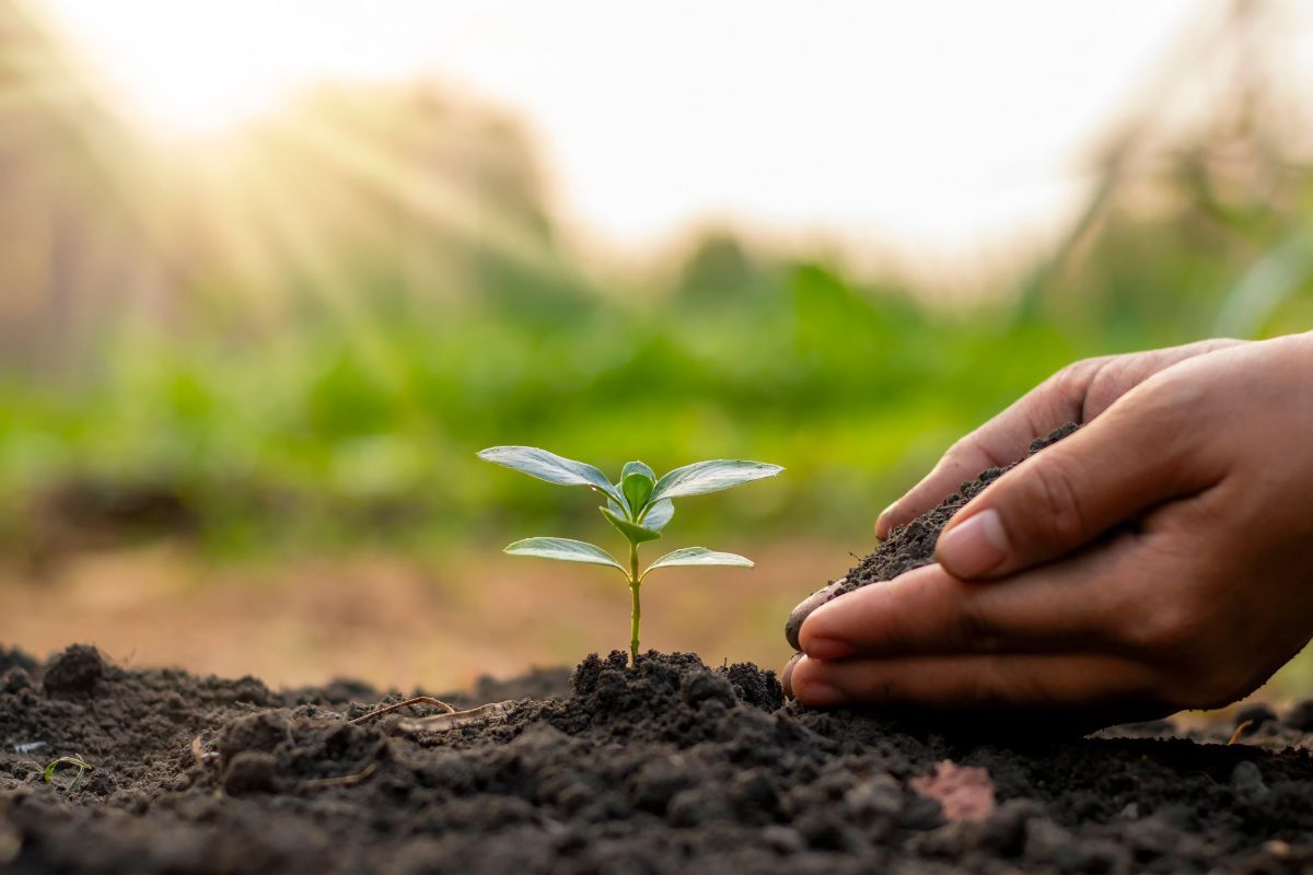 Les Groupements Fonciers Agricoles | IHEDREA