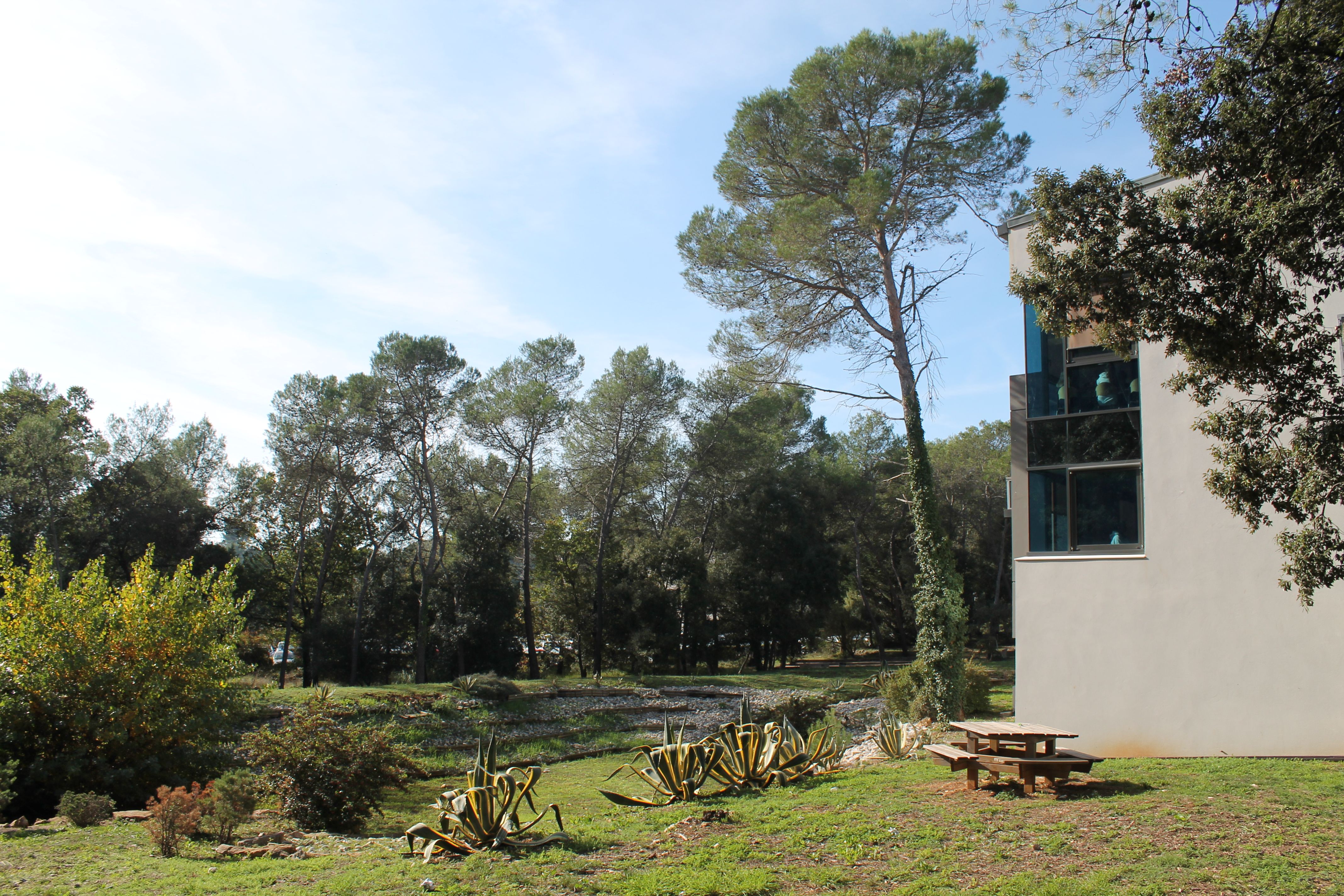 École de commerce Nice | IDRAC Business School