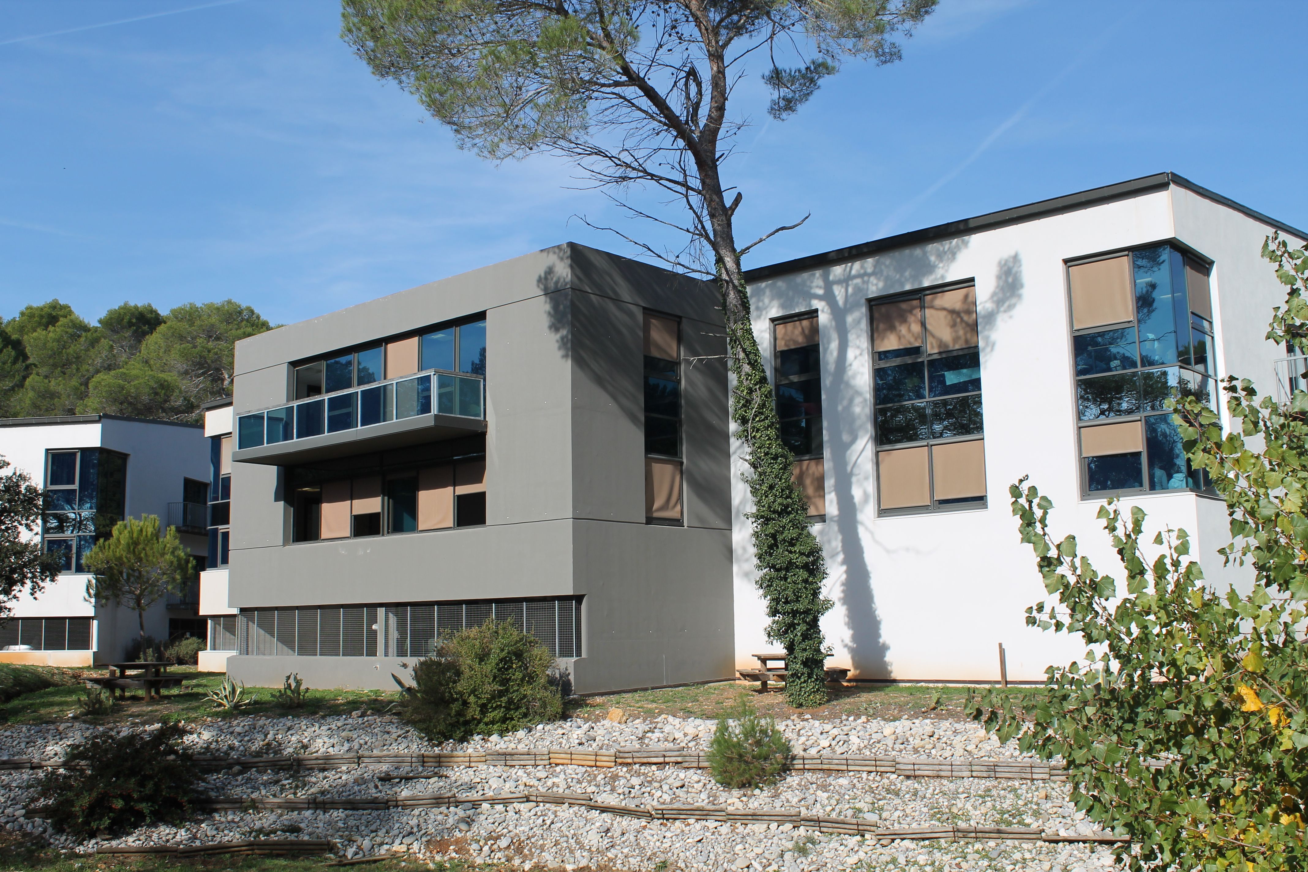 École de commerce Nice | IDRAC Business School