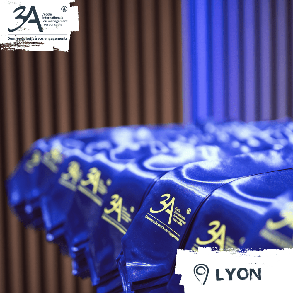 Gala de remise des diplomes 3A Lyon