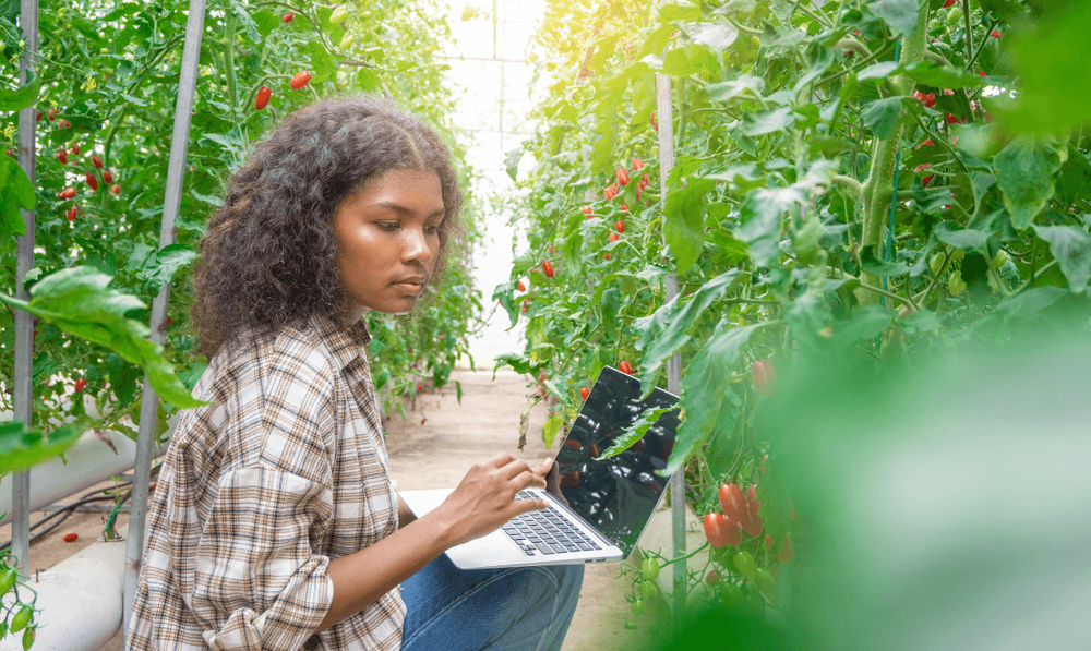 L’agrobusiness, qu’est-ce que c’est ? | IHEDREA