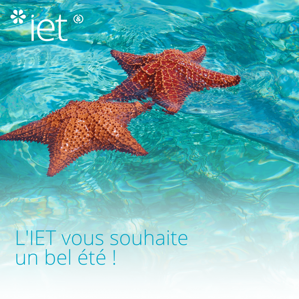 Ecole de l’environnement à Lyon | IET