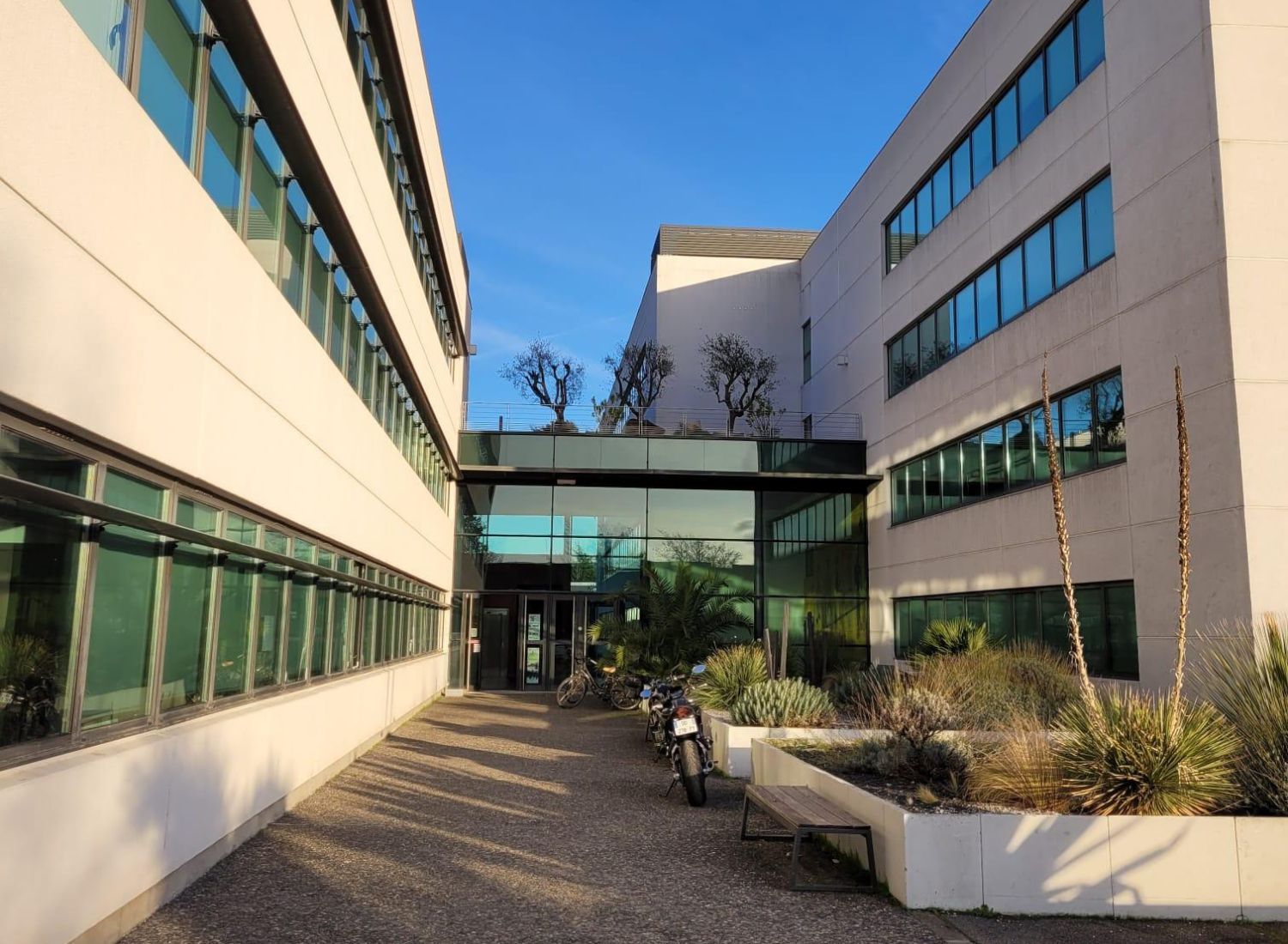 École de commerce | IDRAC Business School